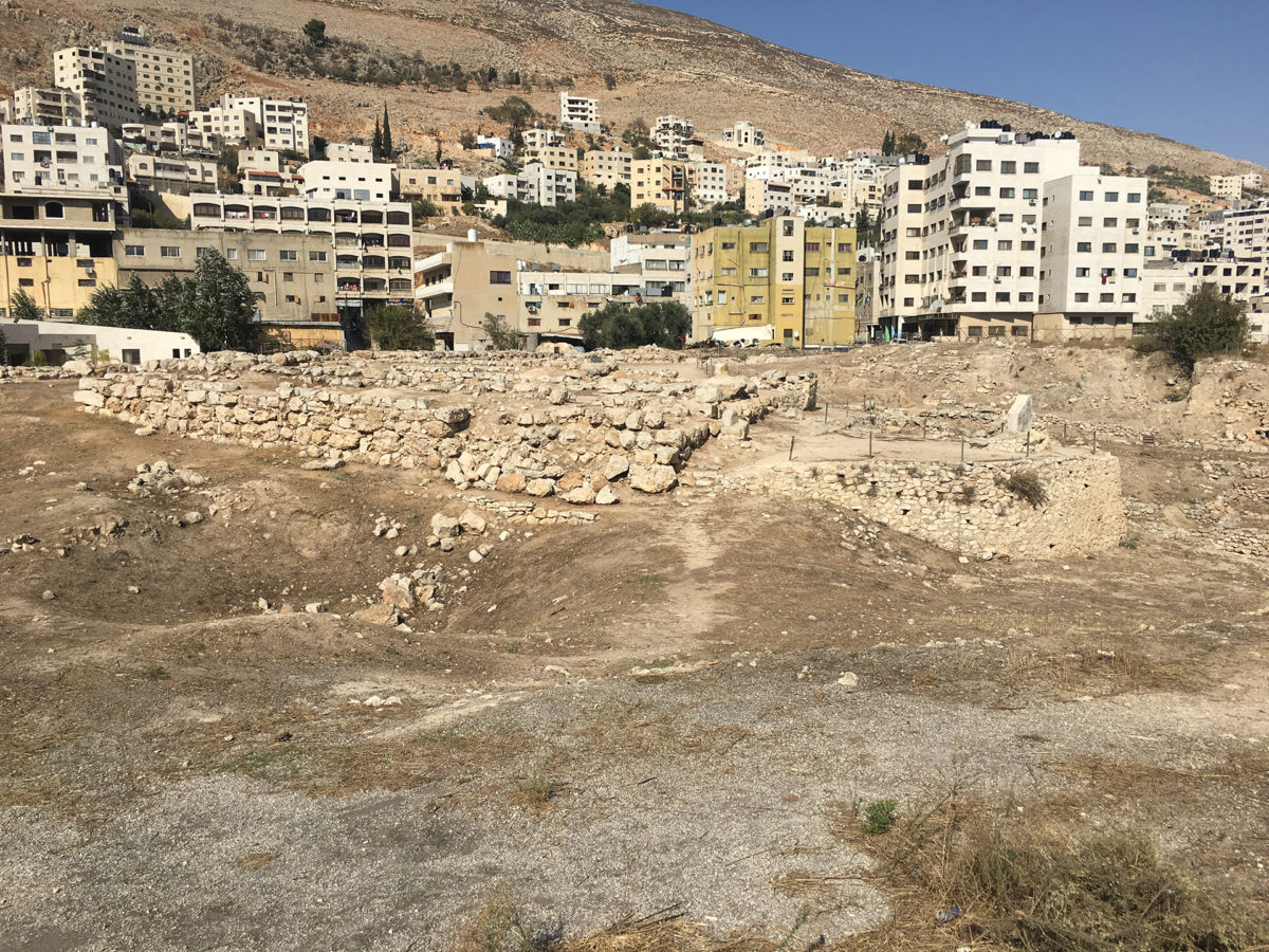 Discover Tell Balata Archeological Park ⋆ Holy Land VIP Tours