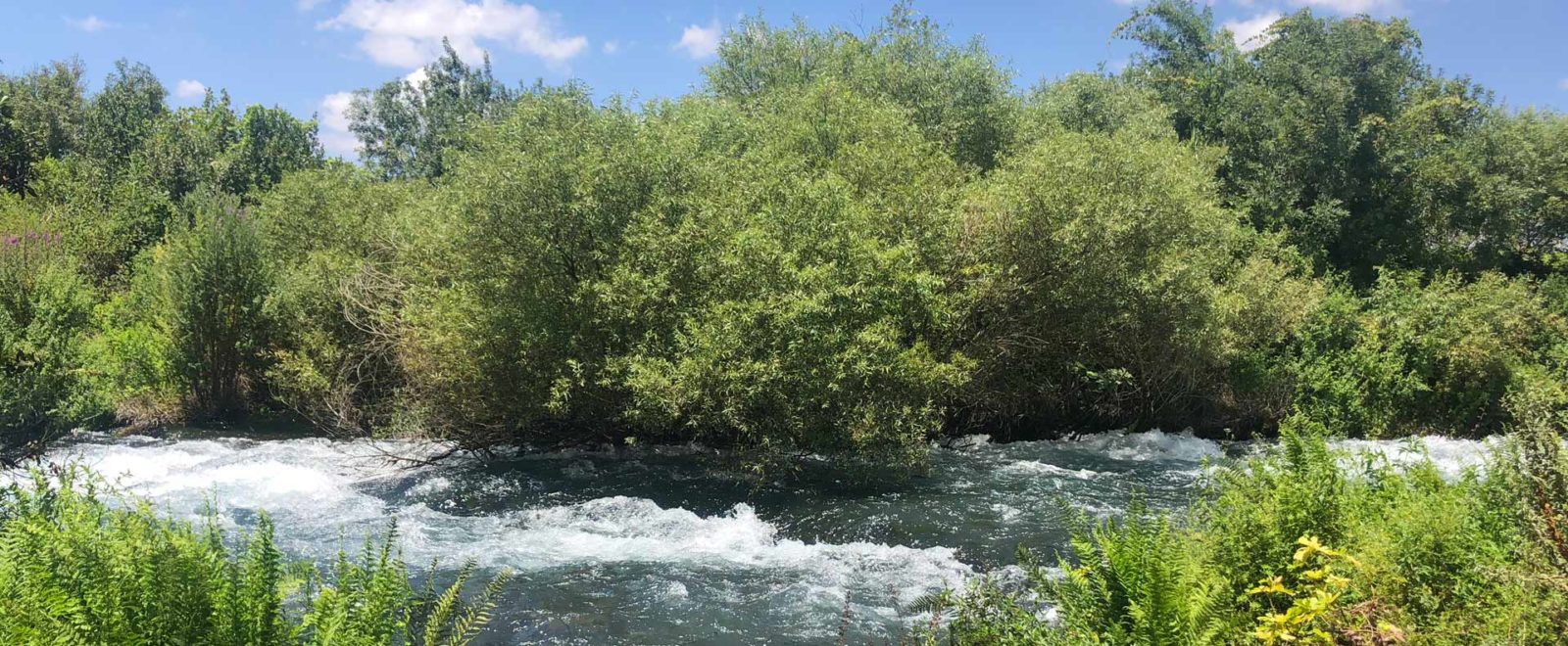 Visit Tel Dan National Reserve ⋆ Christian tour guide in ISRAEL - Holy ...