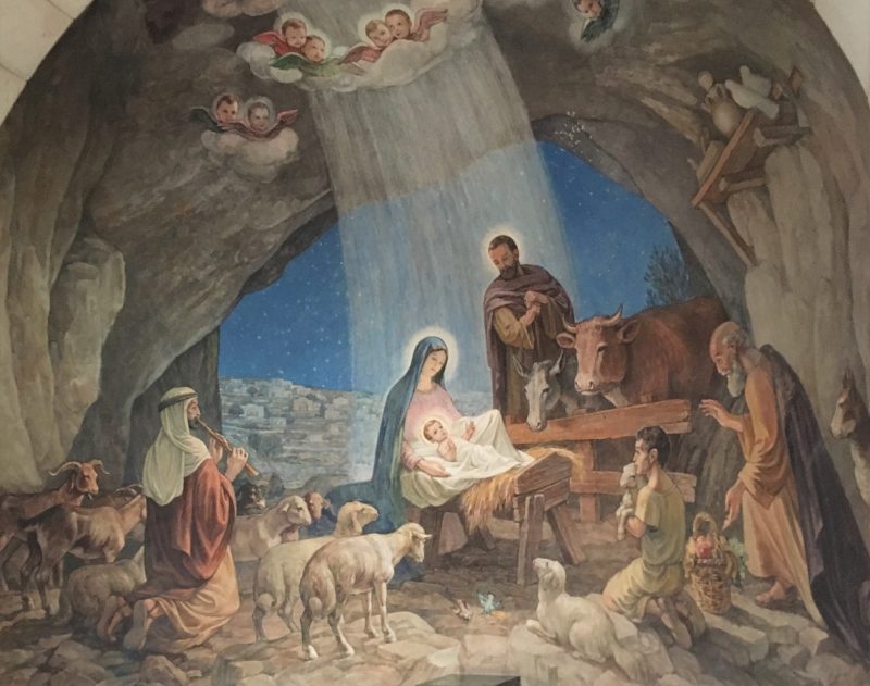 Shepherds Field Bethlehem Visit | Holy Land VIP Tours