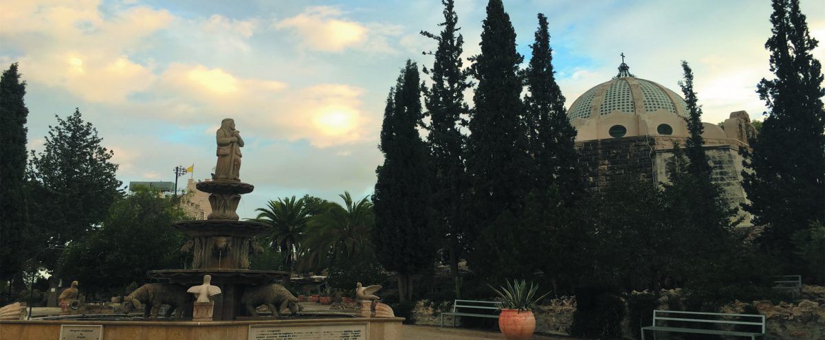 The Shepherd’s Field – Bethlehem ⋆ Holy Land VIP Tours